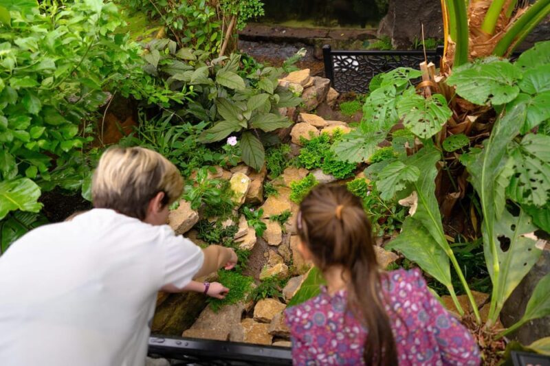 West Berkshire,UK: The Living Rainforest Centre Entry Ticket - The Sum Up
