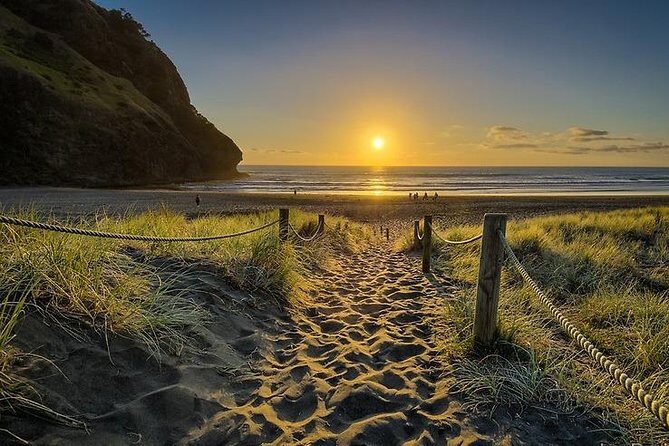West Coast Discovery - Piha Beach or Muriwai Beach from Auckland - Exploring the North Island’s West Coast: What to Expect