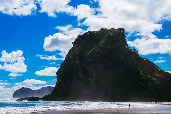 West Coast Discovery Piha Beach Private Tour - Who Will Love This Tour?