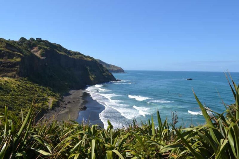 West Coast Discovery Piha Beach Private Tour - Key Points