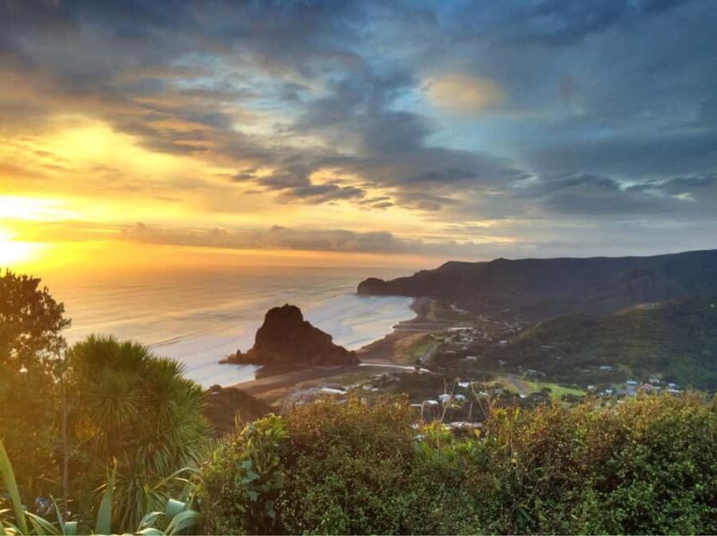 West Coast Discovery Piha Beach Private Tour - Introduction to Auckland’s West Coast Adventure