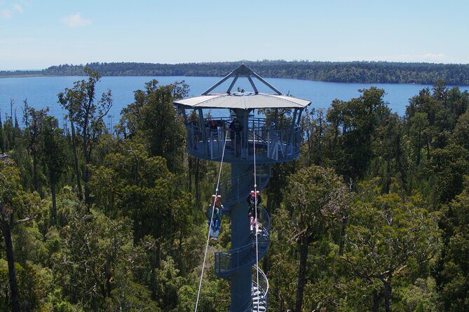 West Coast Tower Zipline & Treetop Walk Combo - Discover the West Coast Tower Zipline & Treetop Walk Combo