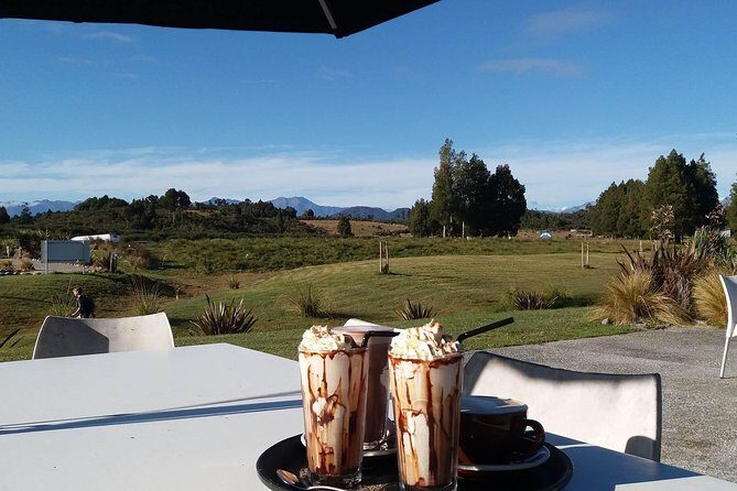 West Coast Treetop Walk - Who Will Love the West Coast Treetop Walk?