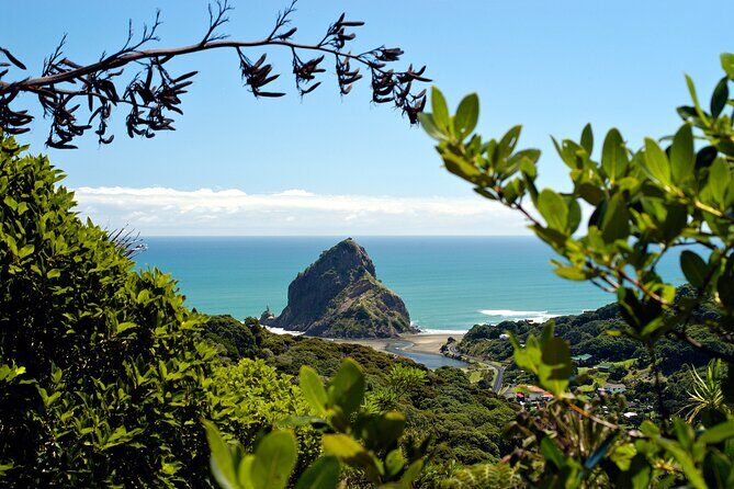 West Coast Wilderness Experience - Private Tour From Auckland - A Deep Dive into the West Coast Wilderness Experience