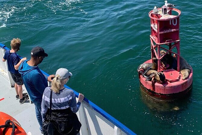 West Harbor LA 45-Minute Narrated Harbor Cruise of San Pedro - FAQ