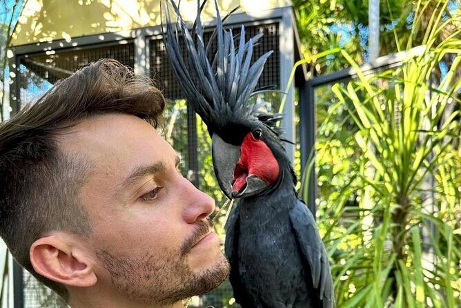 West Hollywood Emerald Village Cannabis Lounge Walking Tour - The Experience from Others’ Perspectives