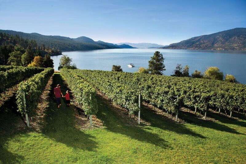 West Kelowna: Wine Tour with Tastings - Final Word