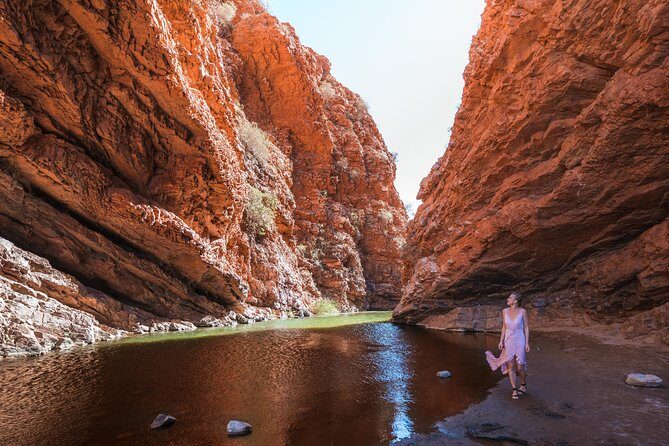 West MacDonnell Ranges- Half Day Trip from Alice Springs - Final Thoughts