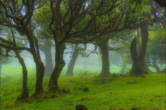 West Madeira 4x4 Tour with Local Guide - The Sum Up