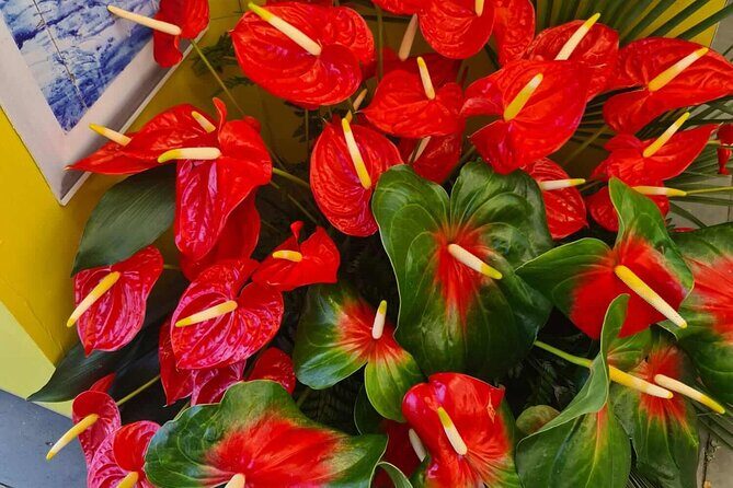 West of Madeira Private Half-Day Tour - Madeira West of Madeira Private Half-Day Tour Review