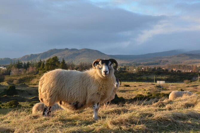 West of Scotland Cultural Tour - Discover the Beauty and Heritage of Scotland’s West Coast