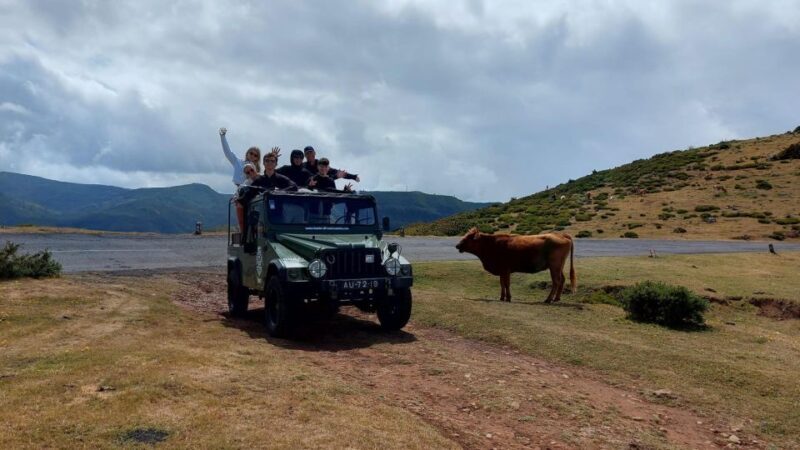 West Safari - The natural pool Porto Moniz Open Roof Jeeps - The Experience for Different Travelers