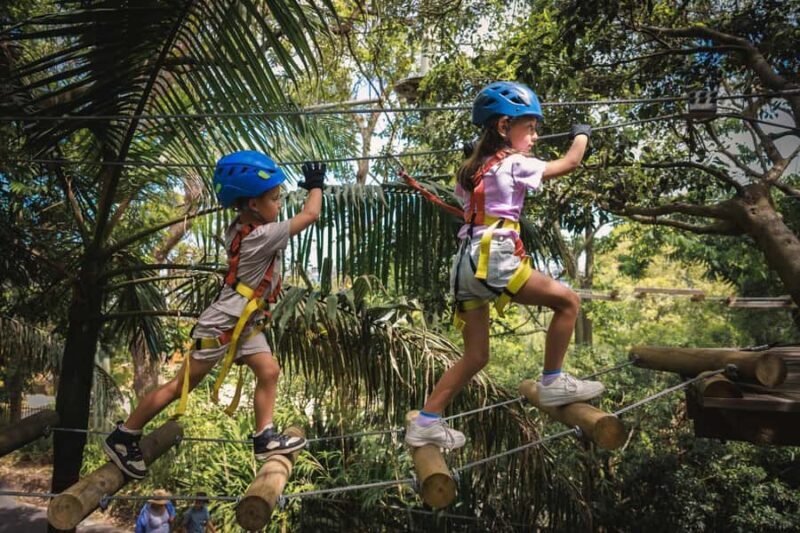 Western Sydney: Junior Tree Ropes Courses - Key Points