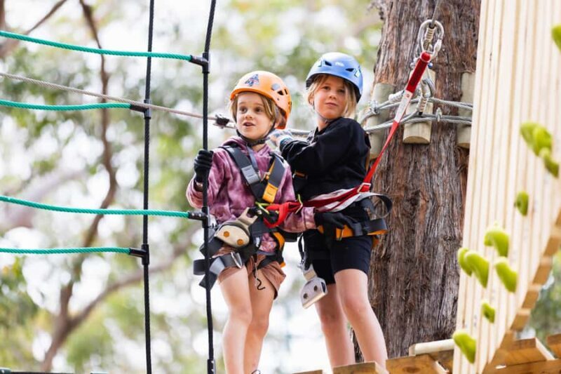 Western Sydney: Junior Tree Ropes Courses - What the Reviews Reveal