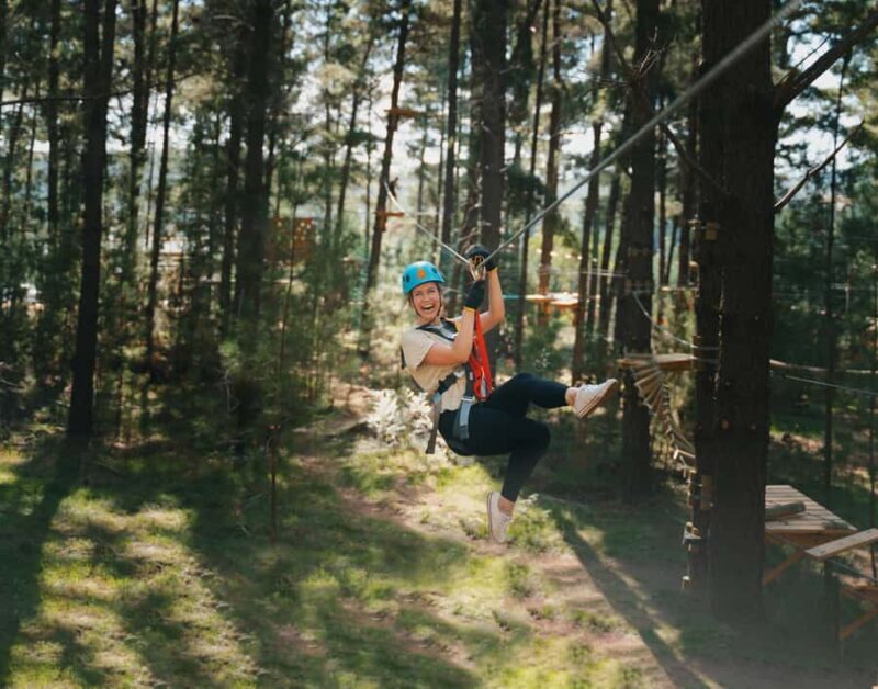 Western Sydney: Tree Ropes Courses - The Four Courses: Heights and Challenges