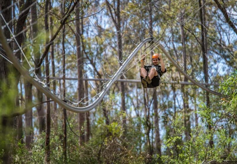 Western Sydney: Zipcoaster Experience - Key Points