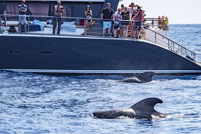 Western Tenerife Cruise with Lunch and Open Bar - Final Thoughts