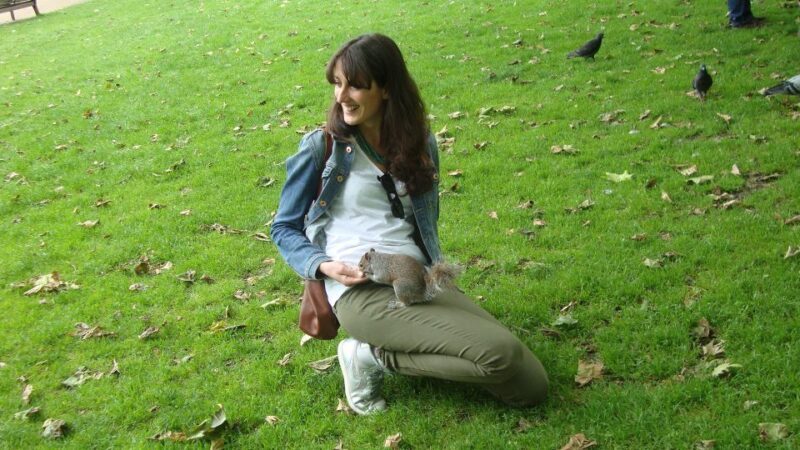 Westminster and National Gallery 3.5-Hour Tour in Italian - An In-Depth Look at the Tour Experience