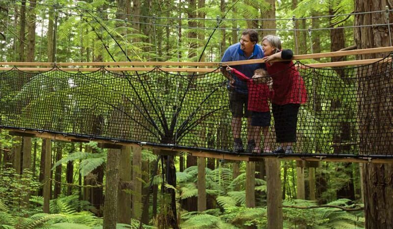 Whakarewarewa Maori Village, Lakes, and Redwoods Forest - Key Points