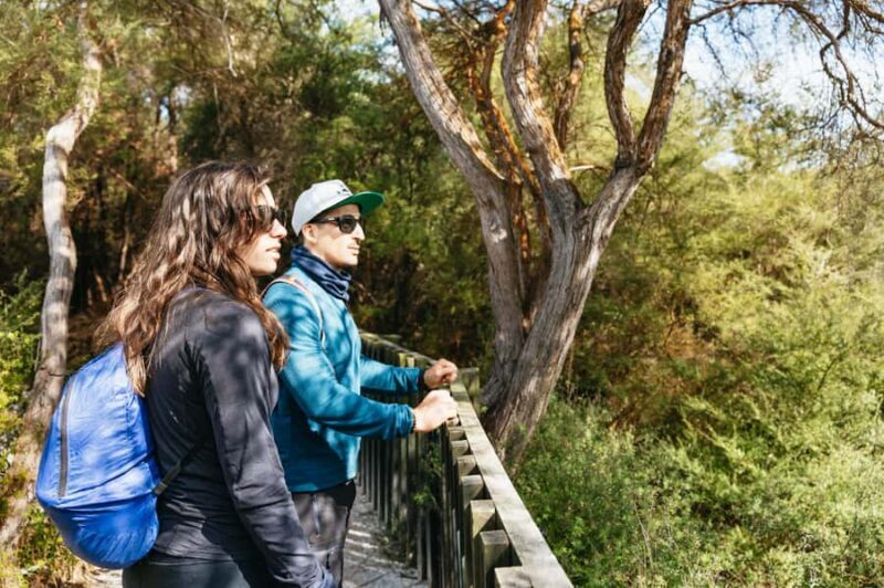 Whakarewarewa: Self-Guided Geothermal Trails - What Is the Whakarewarewa Self-Guided Trail?