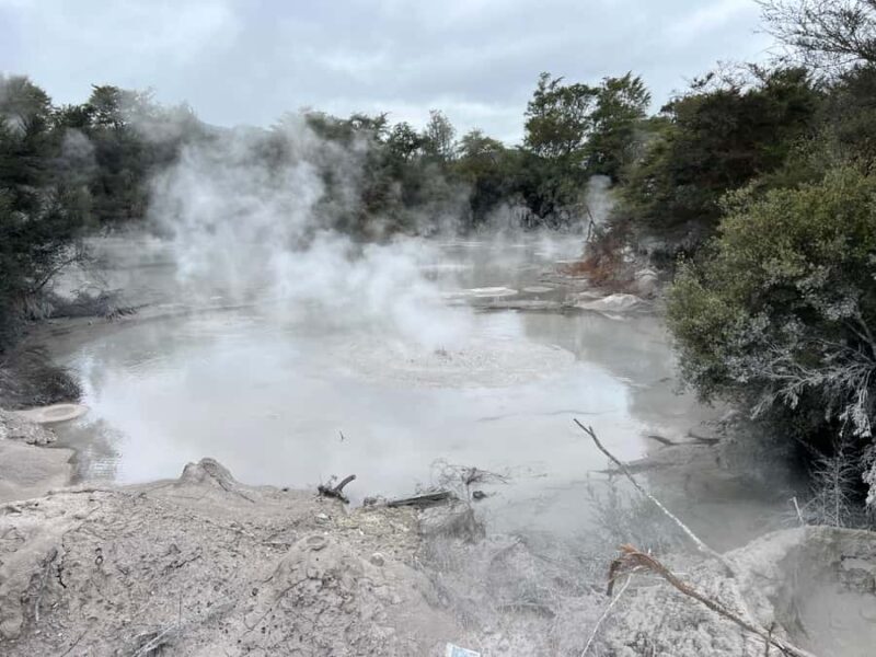 WHAKAREWAREWA - The Living Maori Village - Group Tour Ex AKL - Who Would Benefit Most?