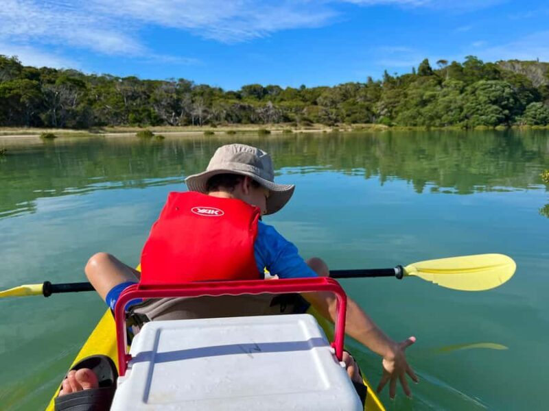 Whakatane: Ohiwa Harbour Guided Kayak Tour - Key Points