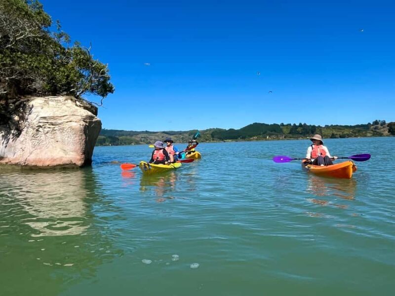 Whakatane: Ohiwa Harbour Guided Kayak Tour - What’s Included and Practical Details