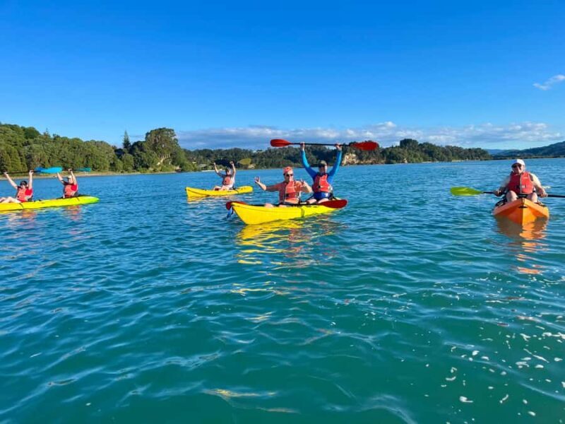 Whakatane: Ohiwa Harbour Guided Kayak Tour - Who Should Consider This Tour?