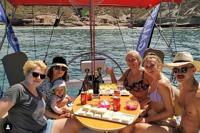 Whale and Dolphin Small Group Sailing from Tenerife South - Key Points