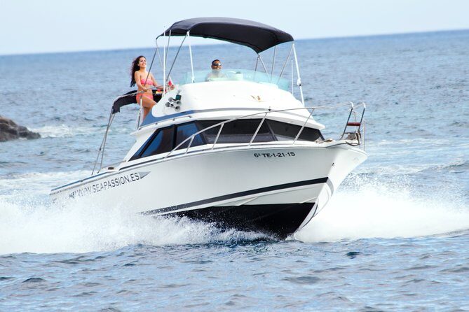 Whale and dolphin watching tour Los Gigantes and Masca in small groups - Key Points