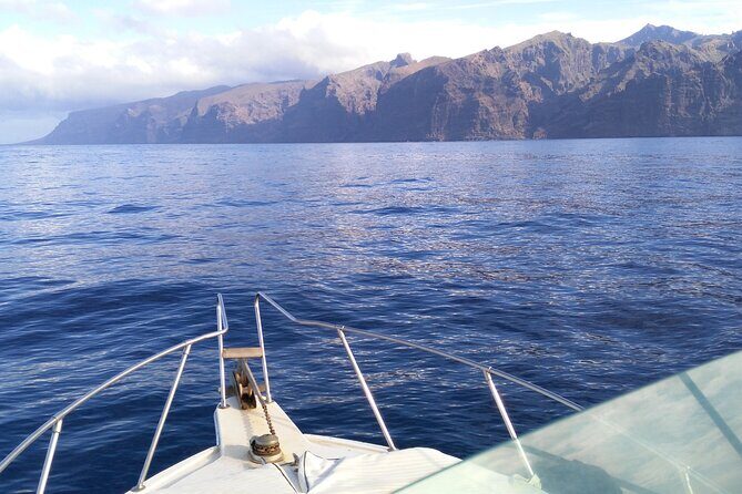 Whale and dolphin watching tour Los Gigantes and Masca in small groups - FAQ