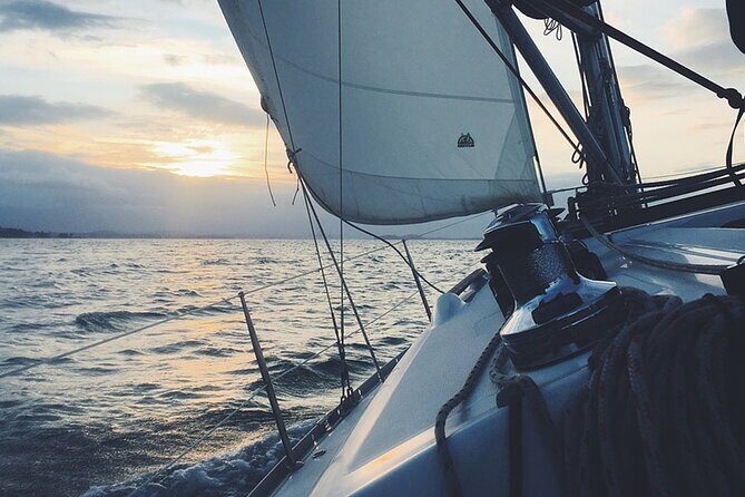 Whale & Dolphin Watching Boat Trip in Tenerife On a Sailing Boat (3 Hr) - What to Expect from the 3-Hour Sailing Whale & Dolphin Tour in Tenerife