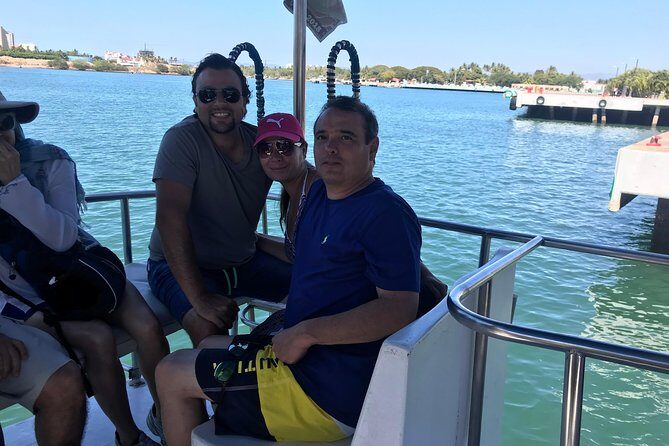 Whale & Dolphin Watching Cruise in Puerto Vallarta All Inclusive - A Detailed Look at the Whale & Dolphin Watching Cruise