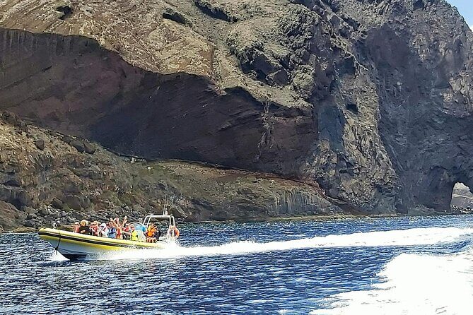 Whale & Dolphin Watching in Madeira - Practical Details and Considerations