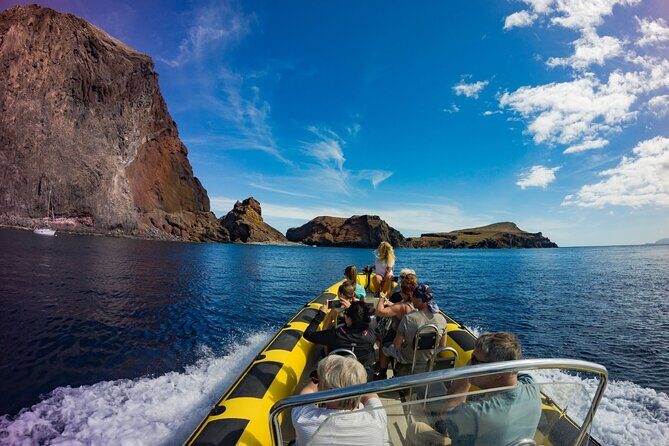 Whale & Dolphin Watching in Madeira - The Sum Up: Is This Tour Right for You?