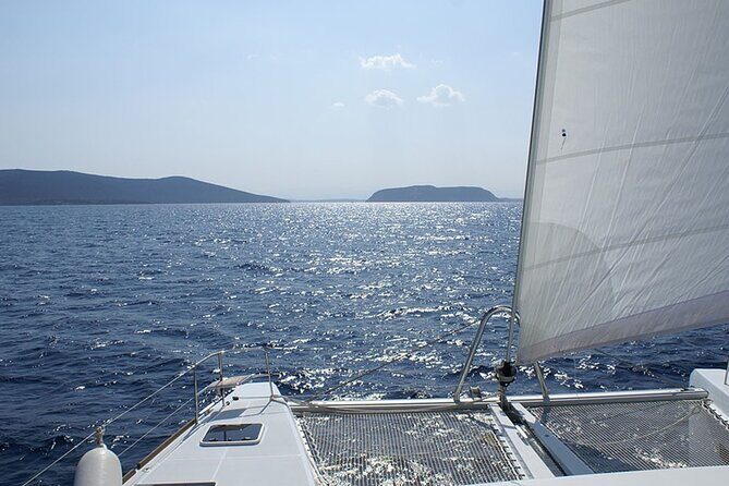 Whale & Dolphin Watching in Tenerife (Puerto Colon) On a Large Catamaran - Final Thoughts: Is It Worth It?