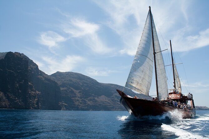 Whale Safari to Los Gigantes with pickup from North - Introduction: What Makes This Whale Safari Stand Out?