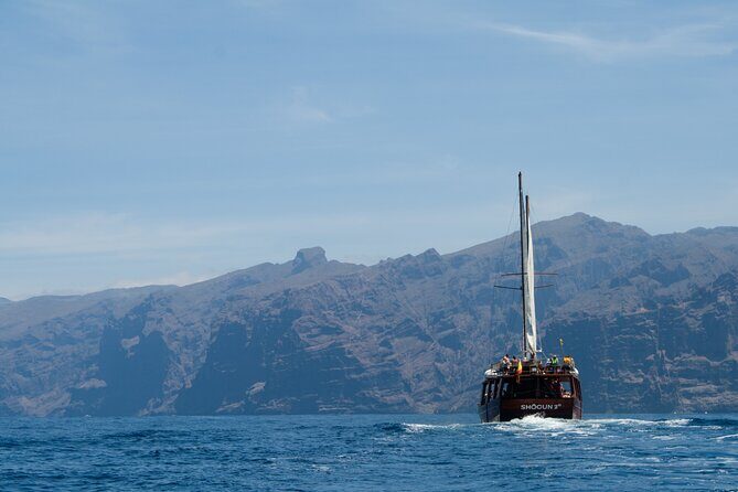 Whale Safari to Los Gigantes with pickup from North - FAQ