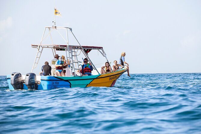 Whale Shark and Snorkeling Adventure from Isla Holbox - FAQ