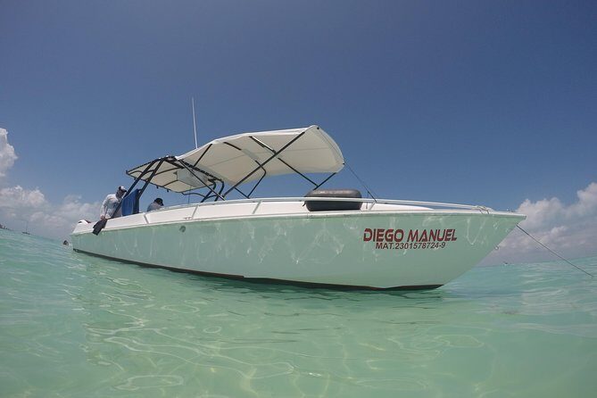 Whale shark encounter Private tour - swim with whale shark cancun - Who Is This Tour Best For?