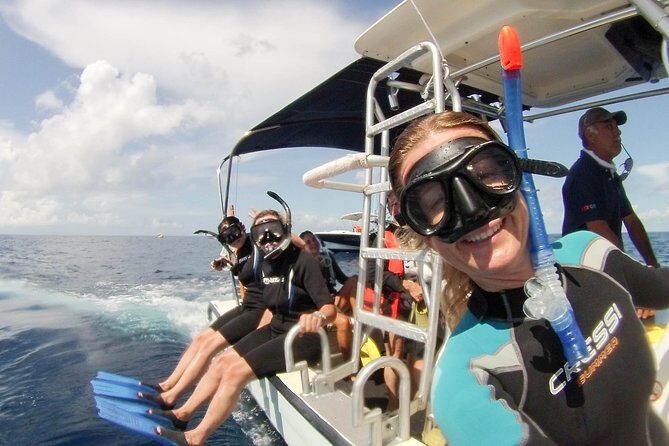 Whale shark encounter Private tour - swim with whale shark cancun - Final Thoughts