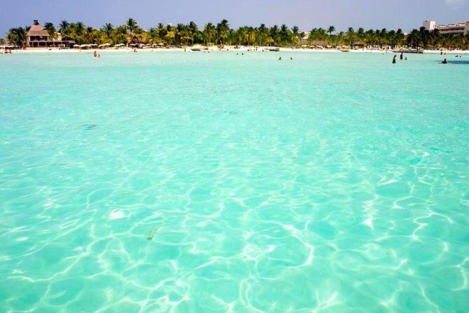 Whale Shark Experience Lifetime Memory in Cancun (snack included) - Fine Details & Practical Tips