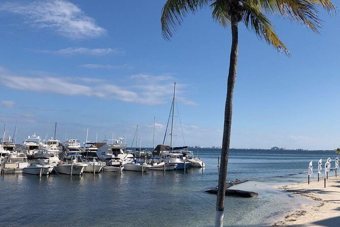 Whale Shark Snorkel Experience in Cancun (Snack Lunch included) - Final Thoughts