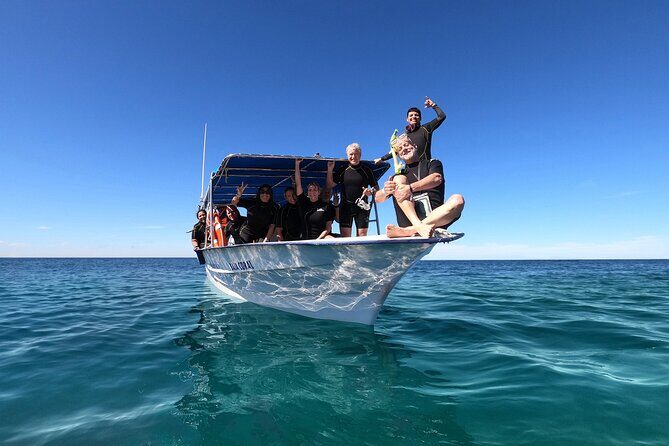 Whale Shark Snorkeling Experience from Cancun and Riviera Maya - FAQ