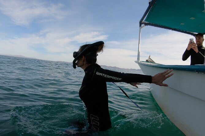 Whale Shark Swimming Adventure: Small Group with Marine Biologist - Final Thoughts