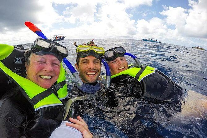 Whale Shark Tour from Cancun, Playa del Carmen, Tulum and Riviera Maya - An Inside Look at the Whale Shark Tour Experience