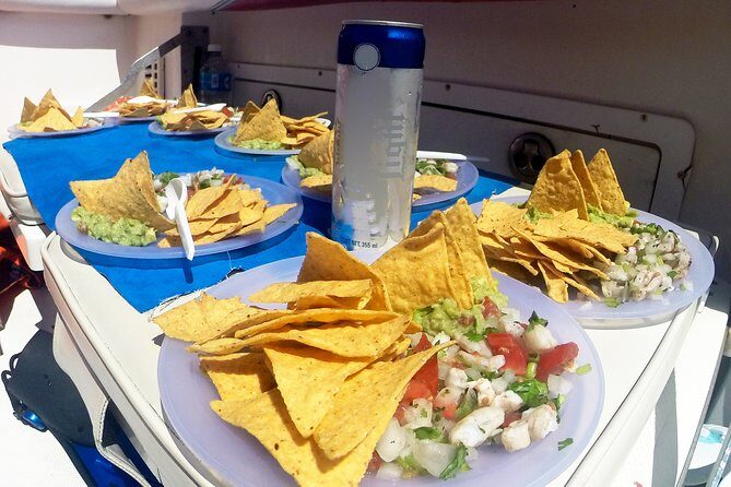 Whale Shark Tour from Cancun, Playa del Carmen, Tulum and Riviera Maya - Final Thoughts