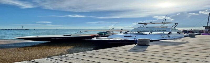 Whale Shark Tour in Cancun in Italian - The Sum Up