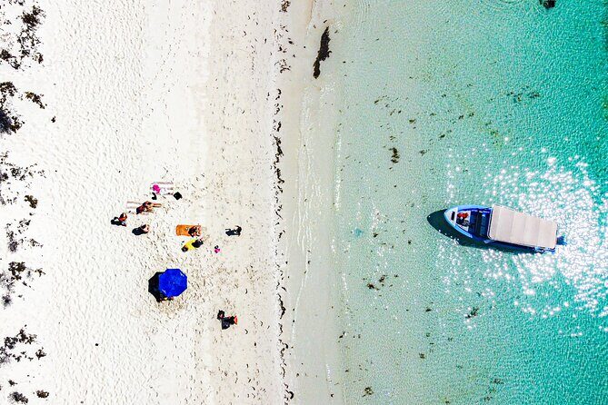 Whale sharks and sea lions snorkeling plus Balandra beach lunch - What We Think About the Price and Overall Value