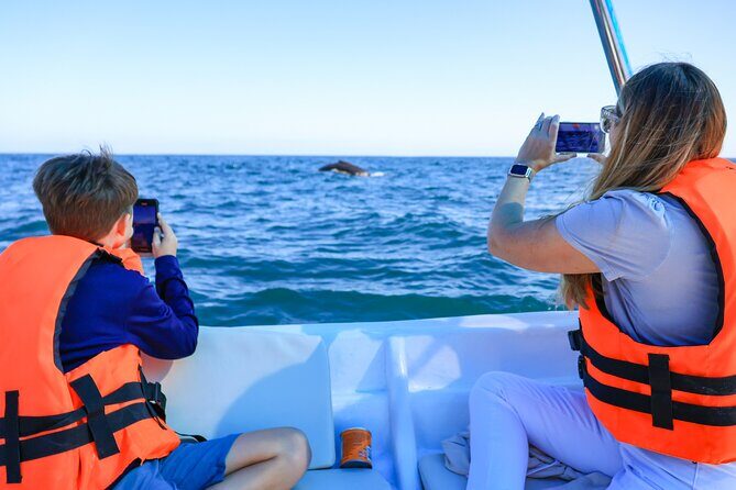 Whale Tour c/ Certified Guide, Photos & Hydrophone - What Makes This Tour Stand Out?